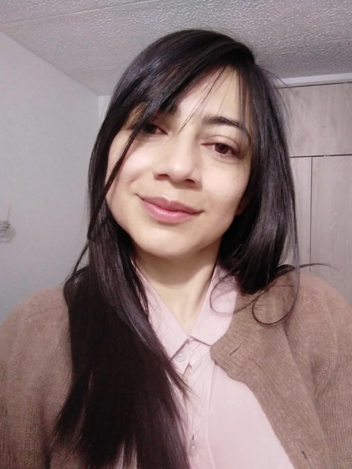 PITA - Plataforma Innovadora